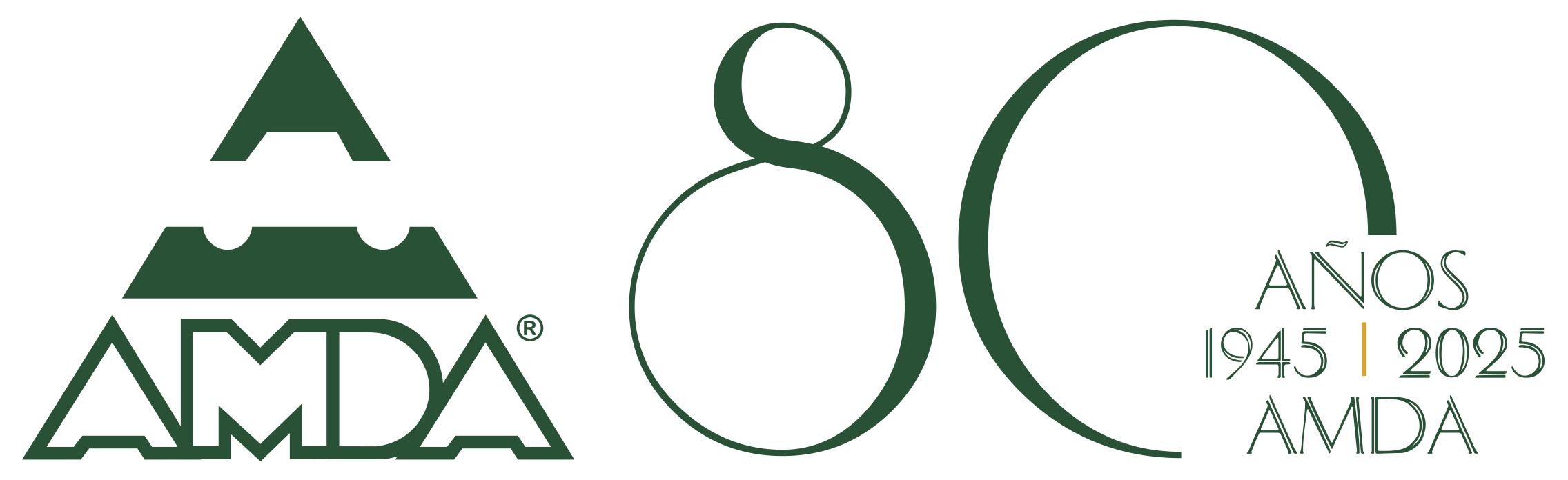 Historia – Foro Automotor AMDA 2025